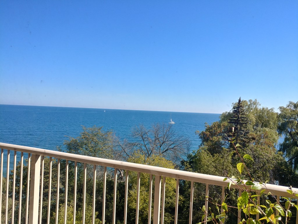 $850 per month room to rent in Mimico Beach available from November 28 ...